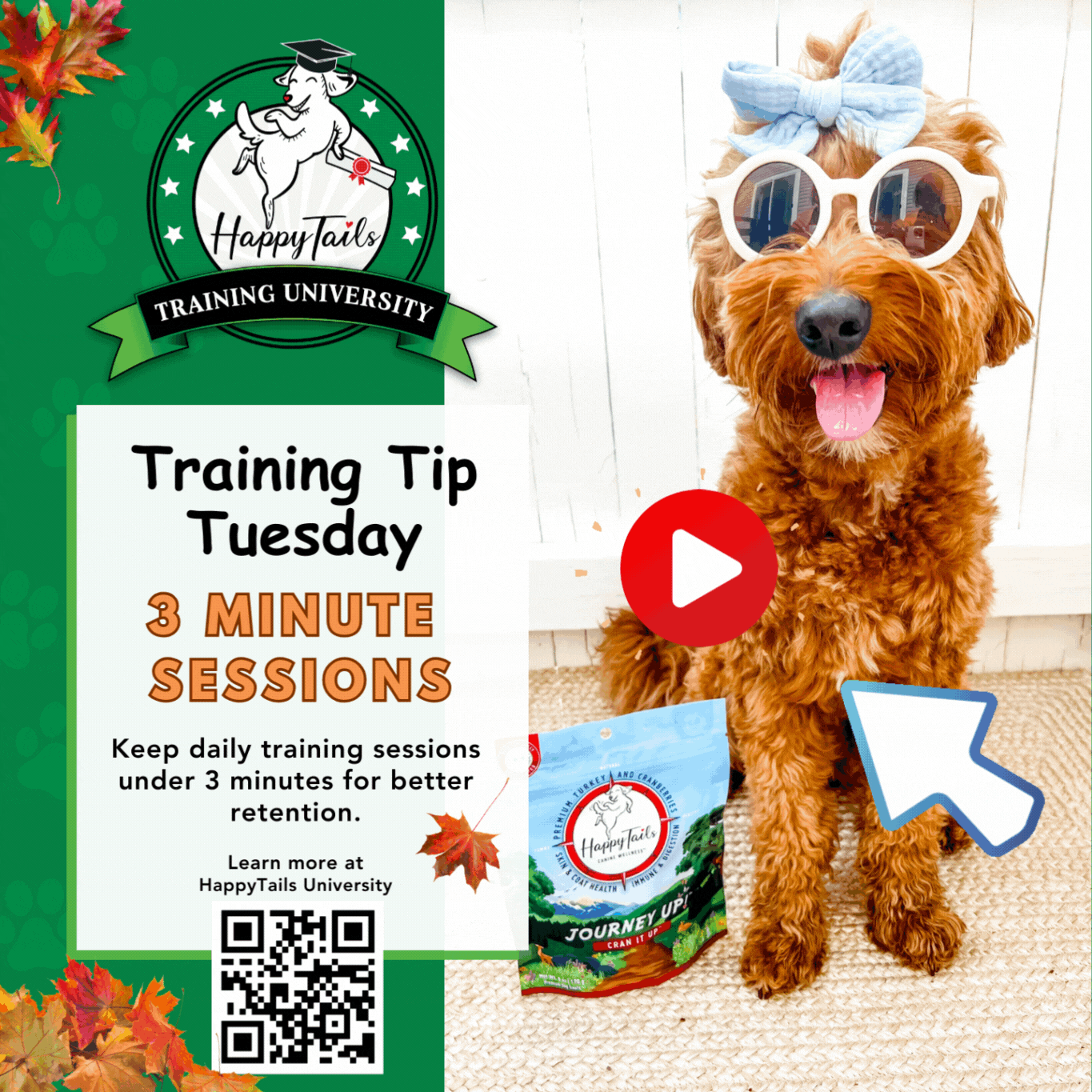 TRAINING TIP TUESDAY – HappyTails Canine Wellness
