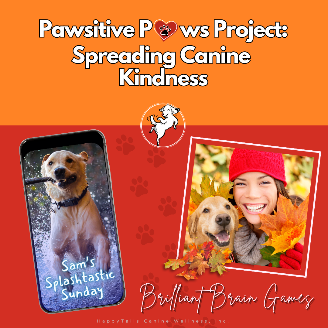 Pawsitive Paws Project: Spreading Canine Kindness-Brilliant Brain Game ...