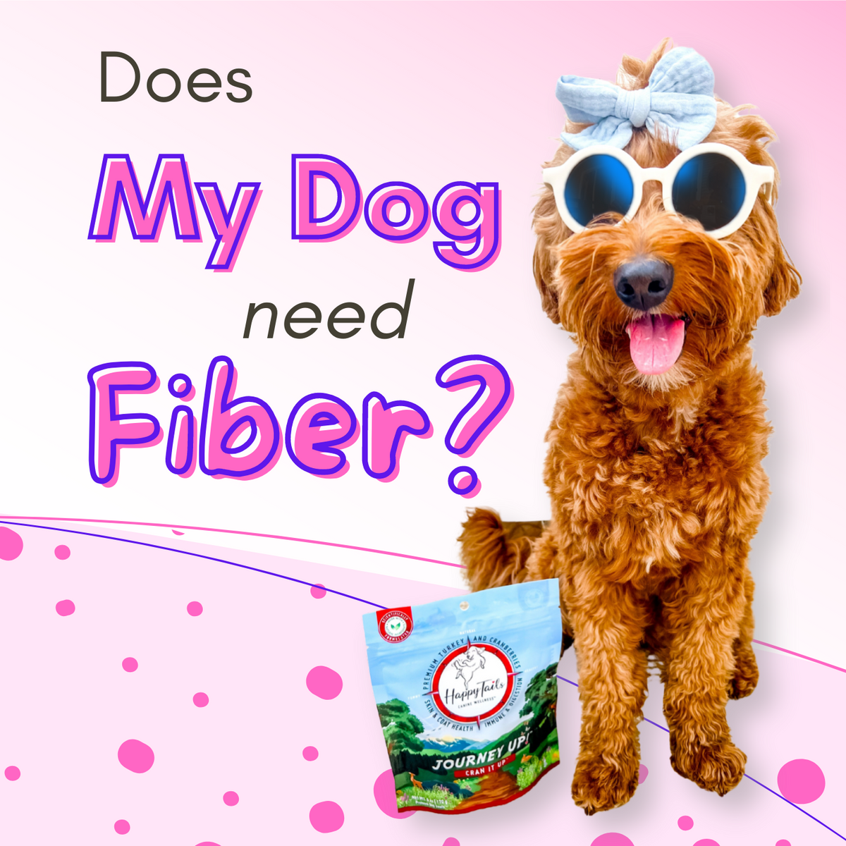 5 Great Sources of Fiber for your Dog! – HappyTails Canine Wellness