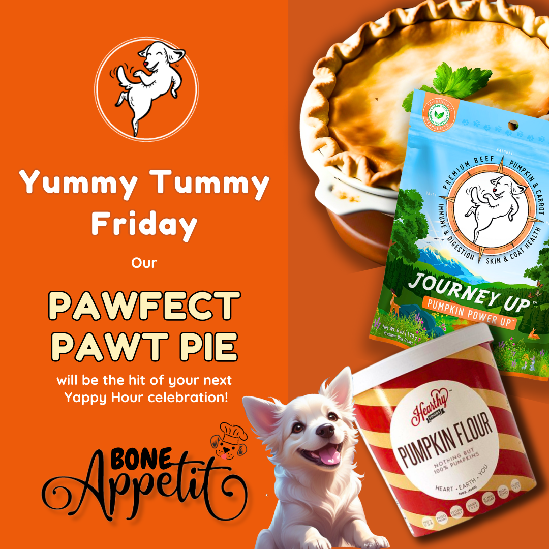 THE YUMMY TUMMY – HappyTails Canine Wellness